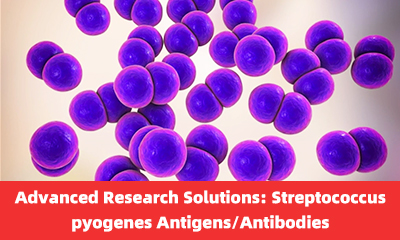 AntibodySystem: Innovative Biolabs | Reliable Bioreagents