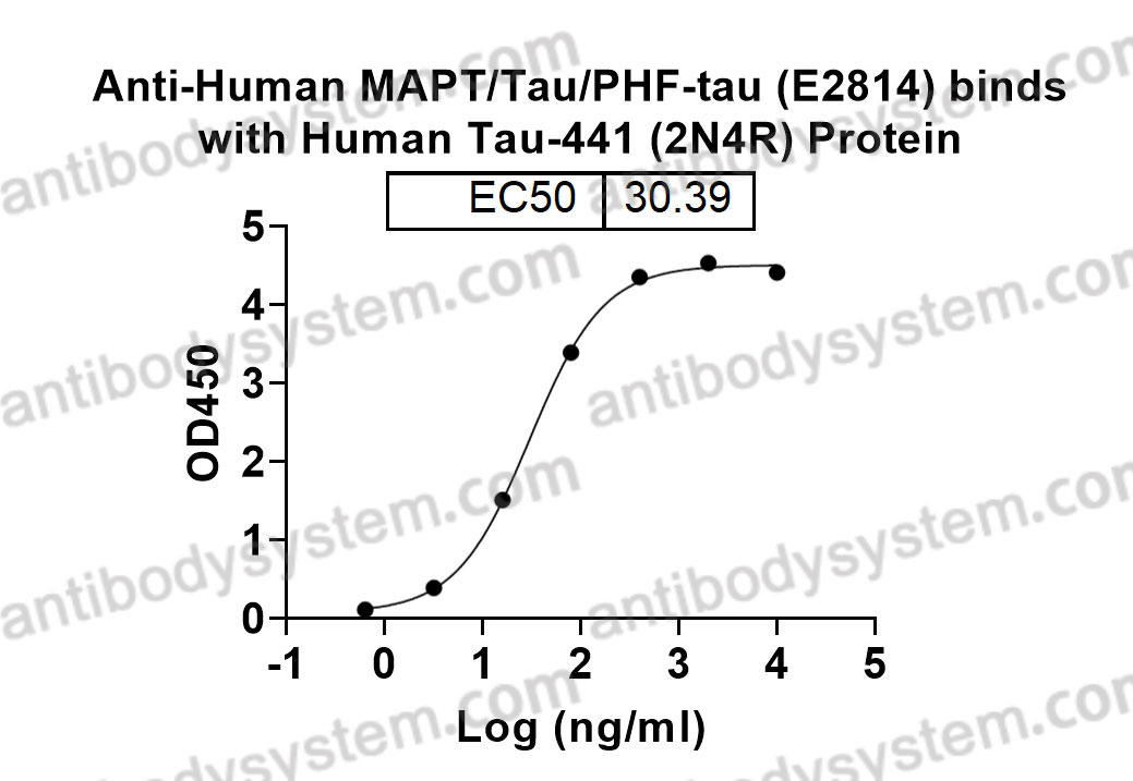 Buy research grade Anti-Human MAPT/Tau/PHF-tau (E2814) biosimilar ，anti ...