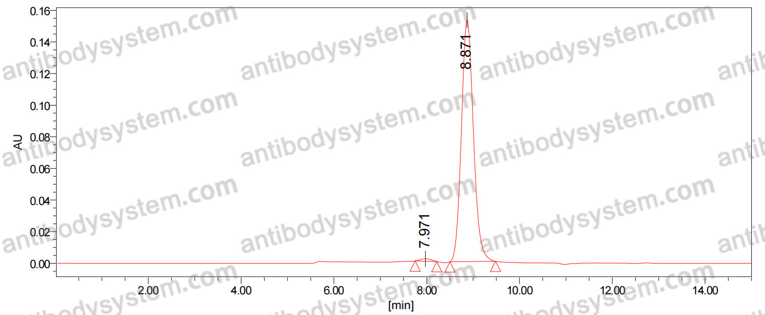 Anti-Omalizumab Antibody (SAb2319)_AntibodySystem