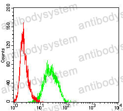 Anti-CD220/INSR Antibody (R2Z58)_AntibodySystem