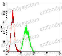 Anti-CD10/MME Antibody (R3A82)_AntibodySystem