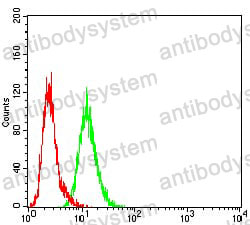 Anti-FSHR Antibody (R3G52)_AntibodySystem