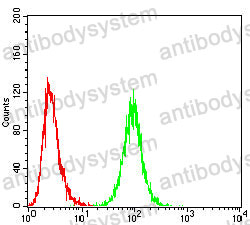 Anti-BAX Antibody (R3R55)_AntibodySystem