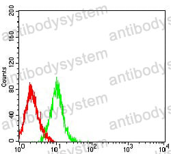 Anti-CD272/BTLA Antibody (R3V21)_AntibodySystem