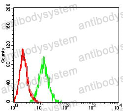 Anti-CD272/BTLA Antibody (R3V22)_AntibodySystem