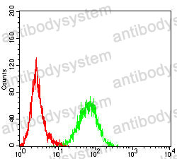 Anti-SCARB1/SR-BI/CLA-1/SRB1 Antibody (R3Y43)_AntibodySystem